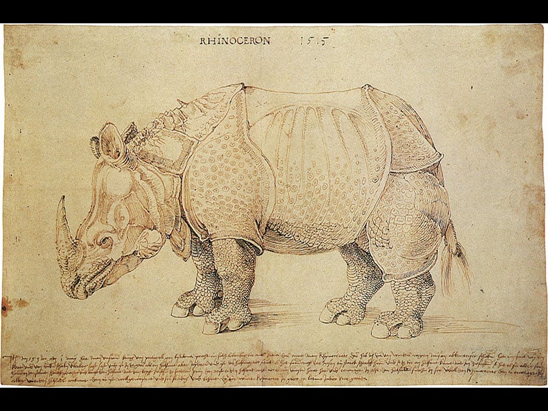 Albrecht Dürer - Linda Hall Library