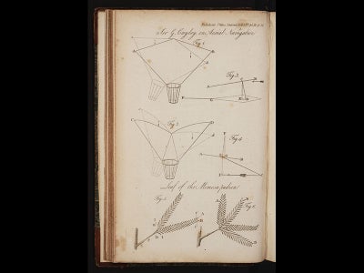 George Cayley - Linda Hall Library