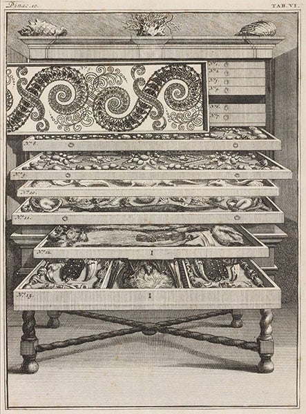 Levinus Vincent - Linda Hall Library