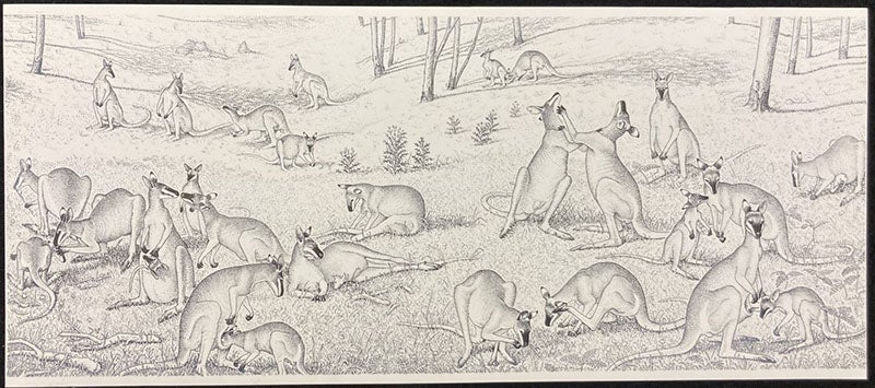 Sarah Landry - Linda Hall Library