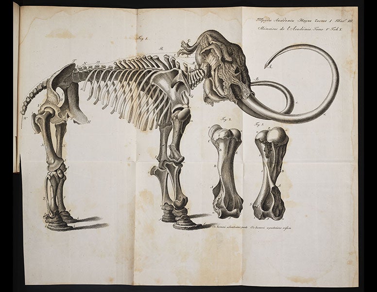 Mikhail Adams - Linda Hall Library