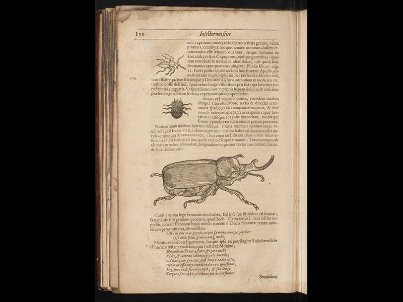 Thomas Moffett - Linda Hall Library