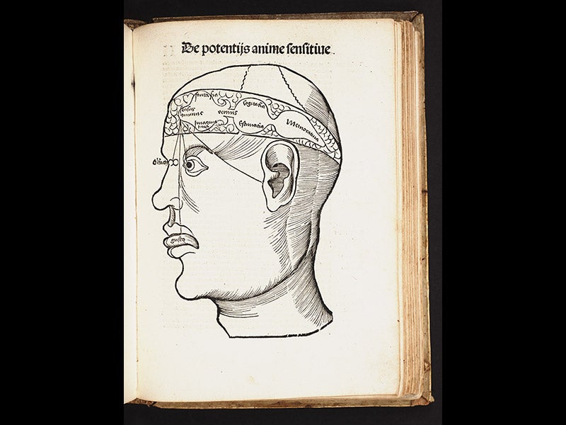 Scientist of the Day - Gregor Reisch, Carthusian Monk, Pearl of ...