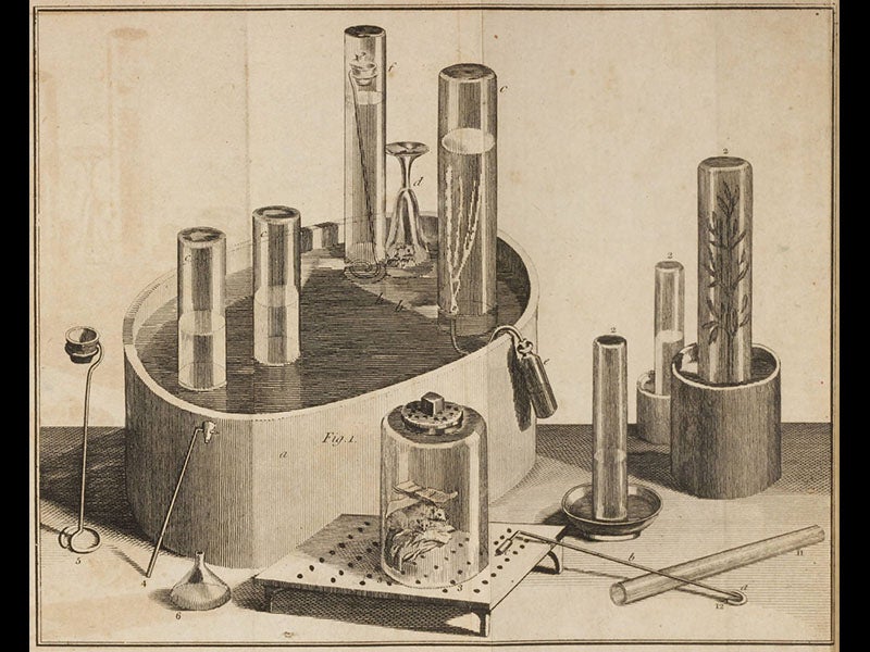 Daniel Rutherford - Linda Hall Library