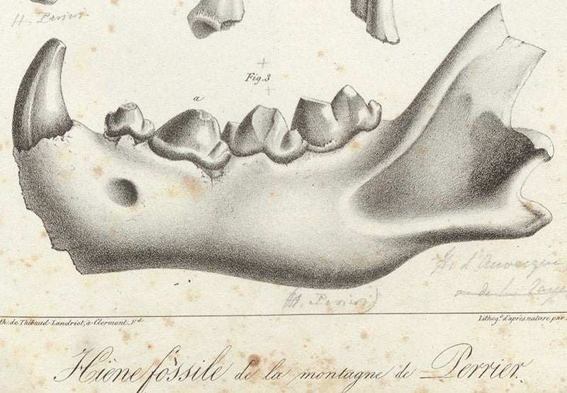 Jean-Baptiste Croizet - Linda Hall Library