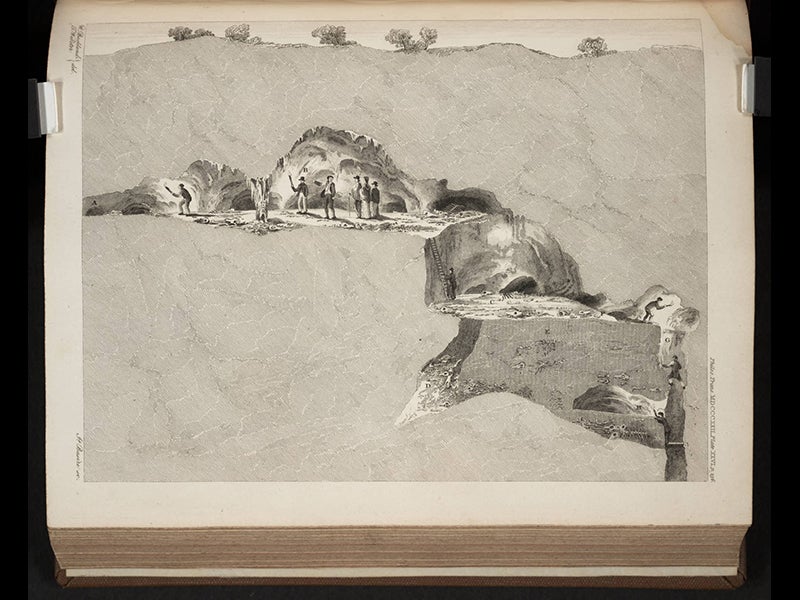 William Buckland - Linda Hall Library