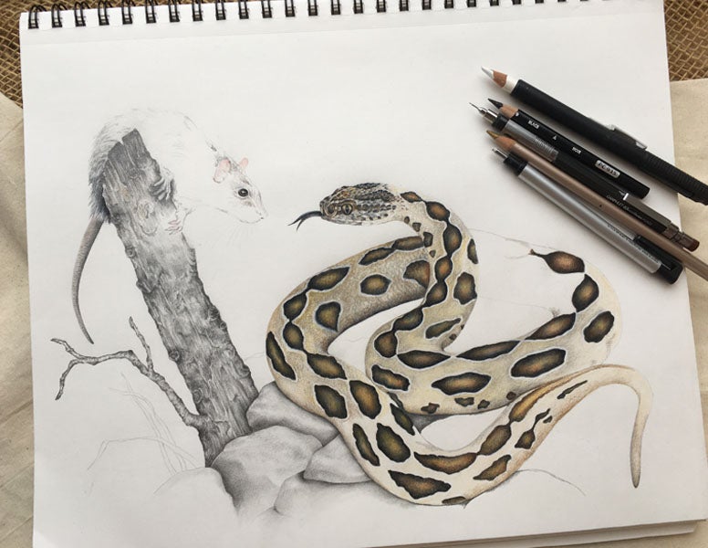 Patrick Russell - Linda Hall Library