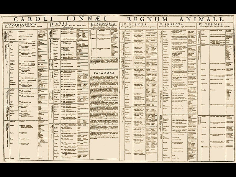 Carl Linnaeus - Linda Hall Library