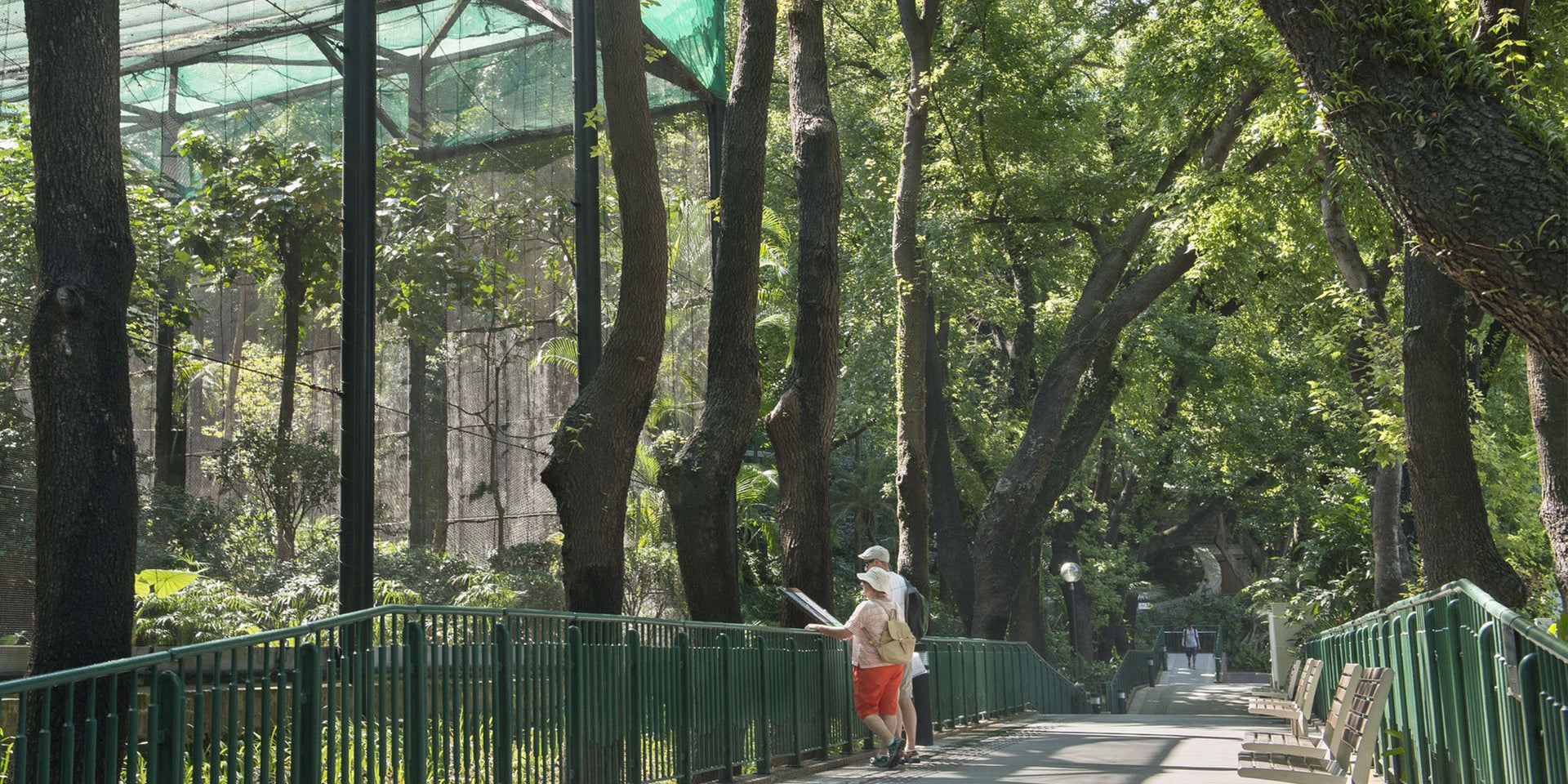 Hong Kong Zoological and Botanical Gardens | LANDMARK