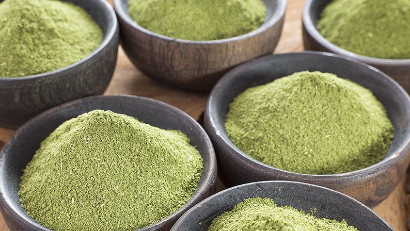 What Is Matcha & How Should You Use It? | Virgin Active