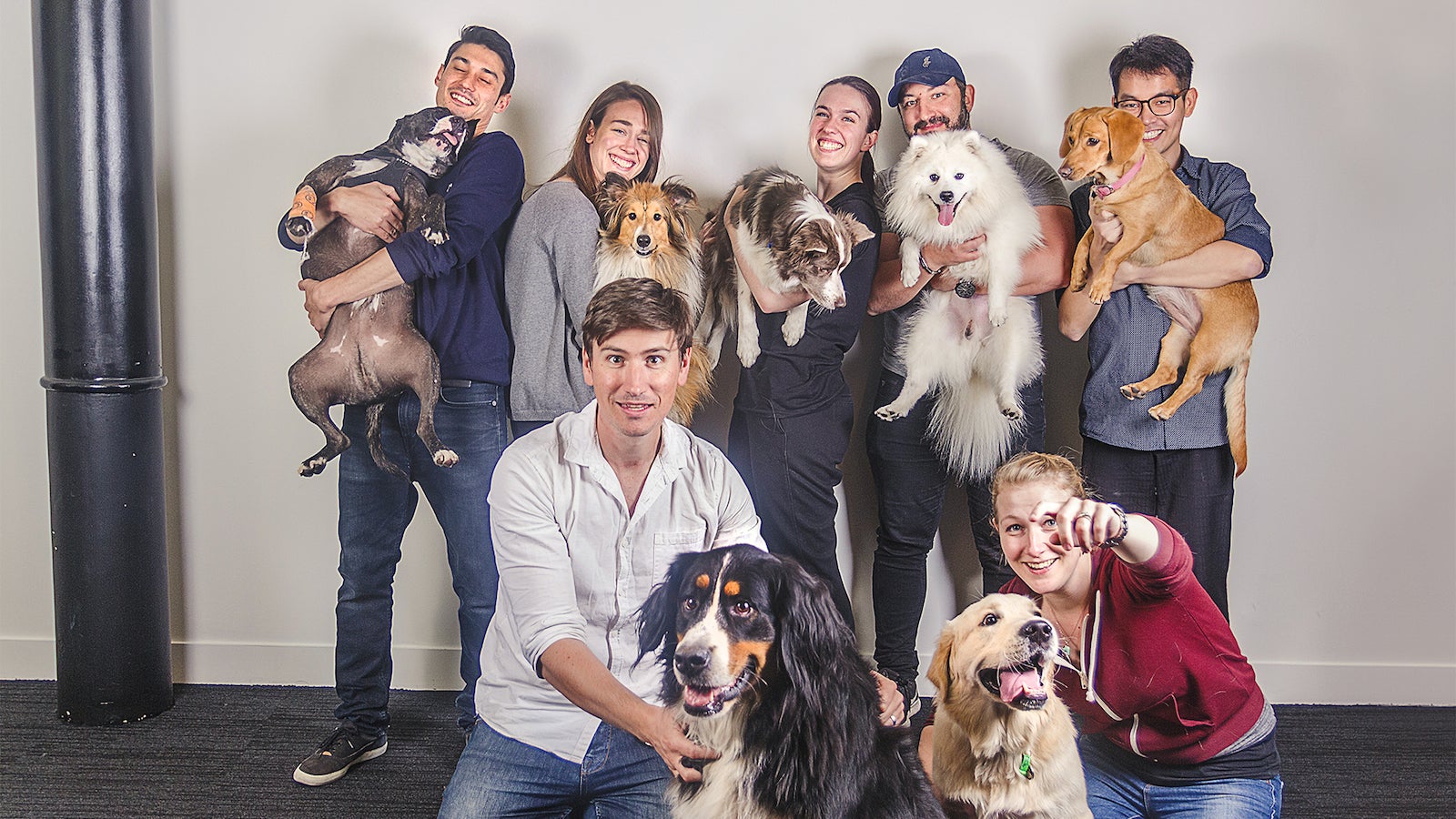 Dogs in the Office Day — Luminary