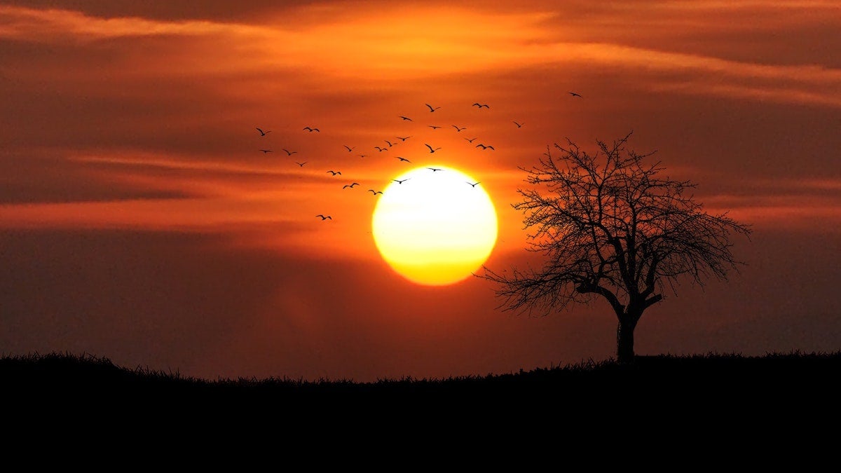 What’s next after Google Optimize’s sunsetting? — Luminary