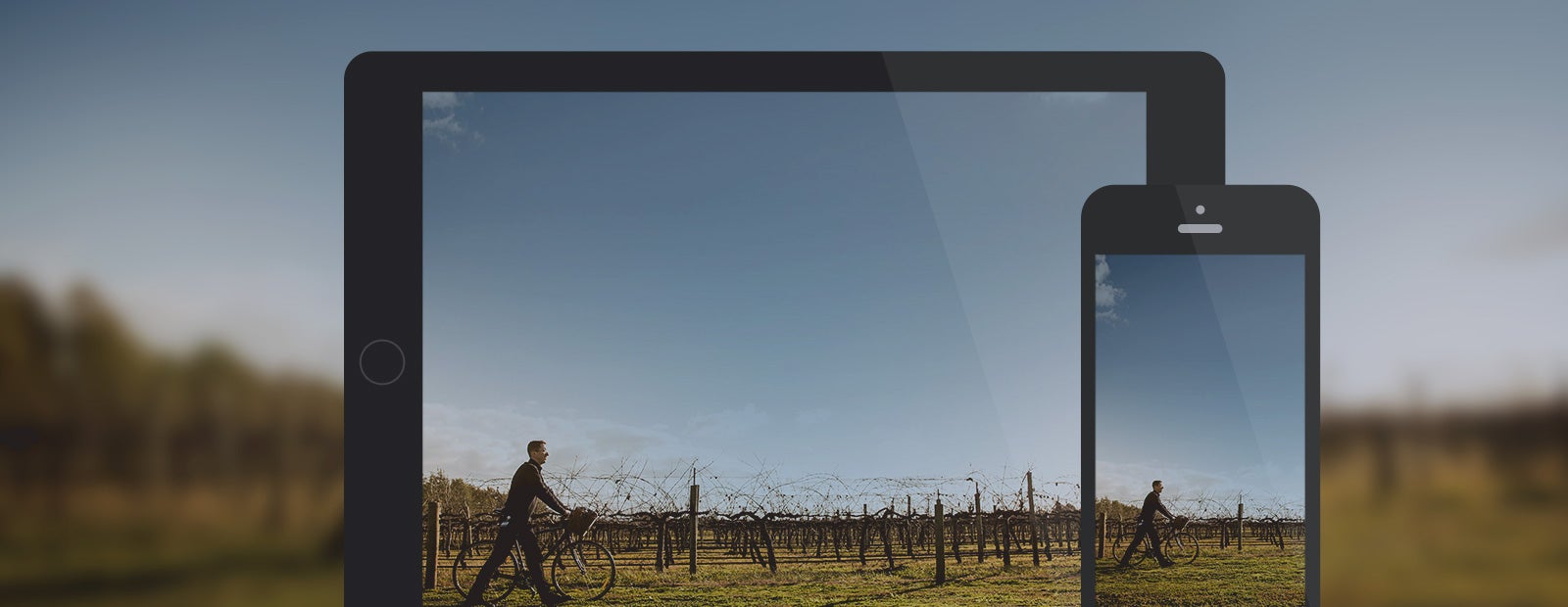 Responsive Images Best Practice — Luminary