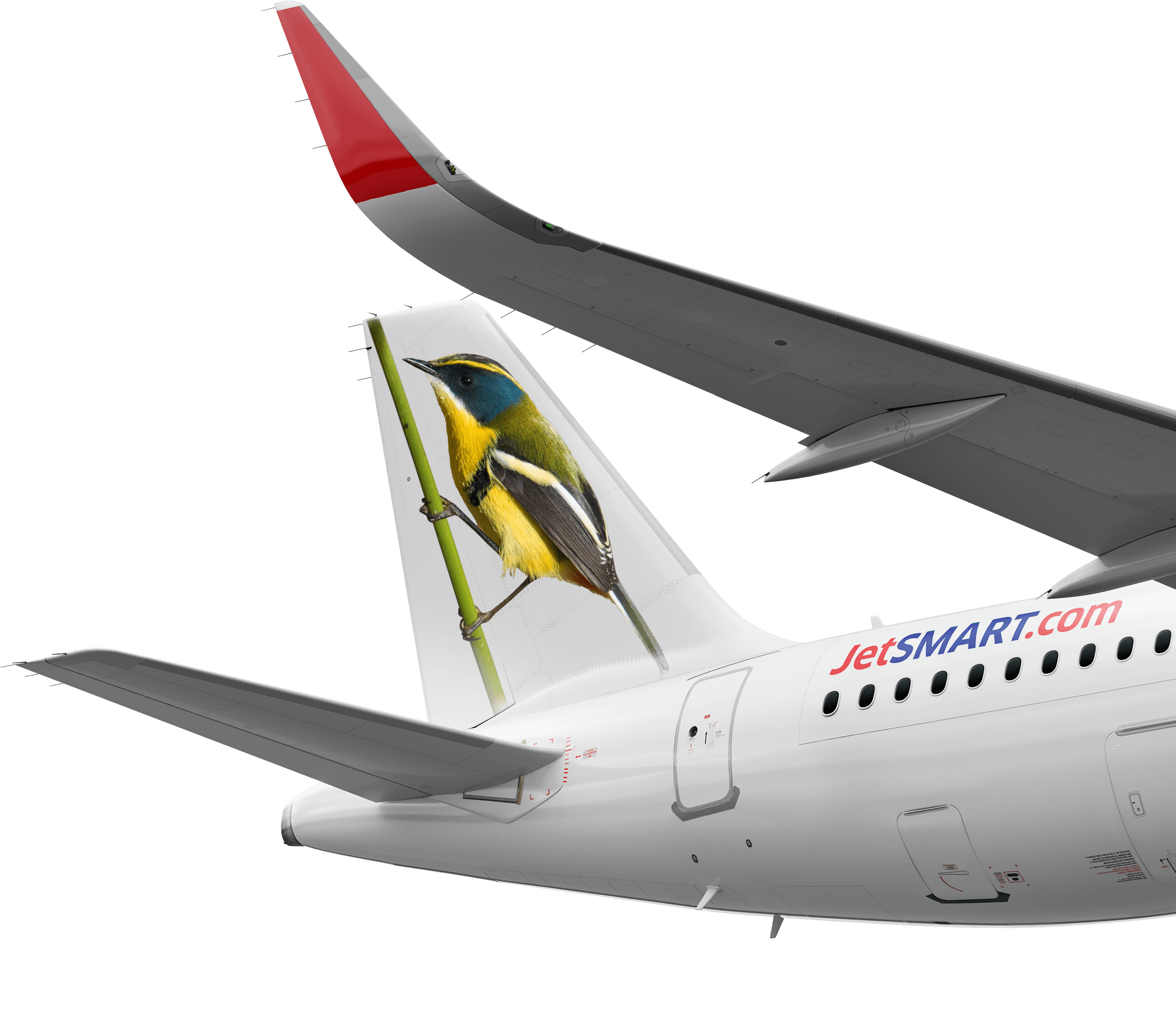 About JetSMART Airlines | JetSMART USA