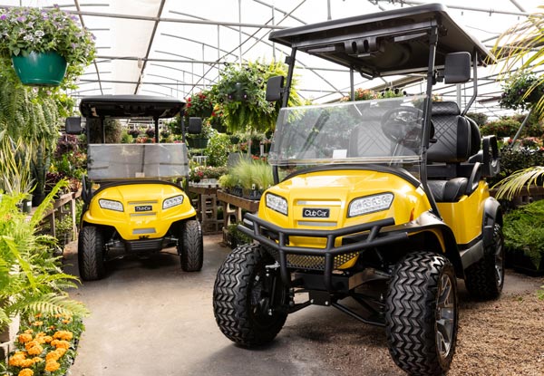 Special Edition Personal Vehicles | Club Car