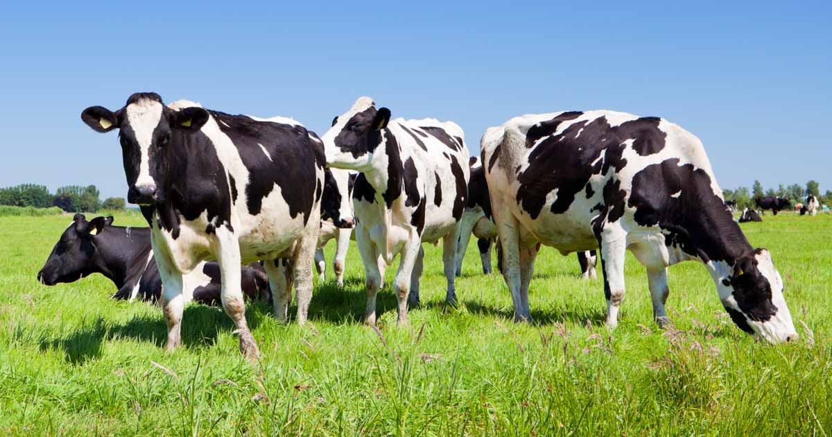 Average Cost of Farm Insurance | Mississippi | Independent Agents