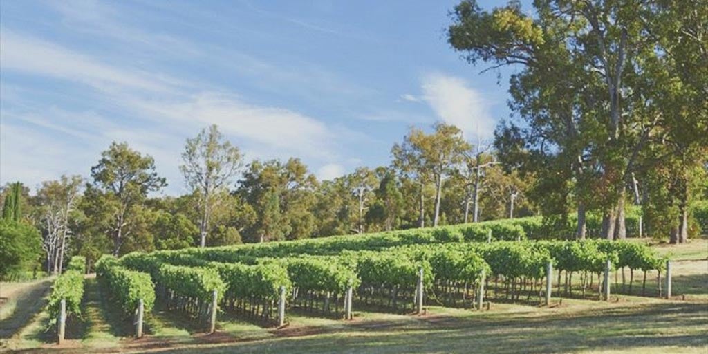 Australian Wine | Peel wine region