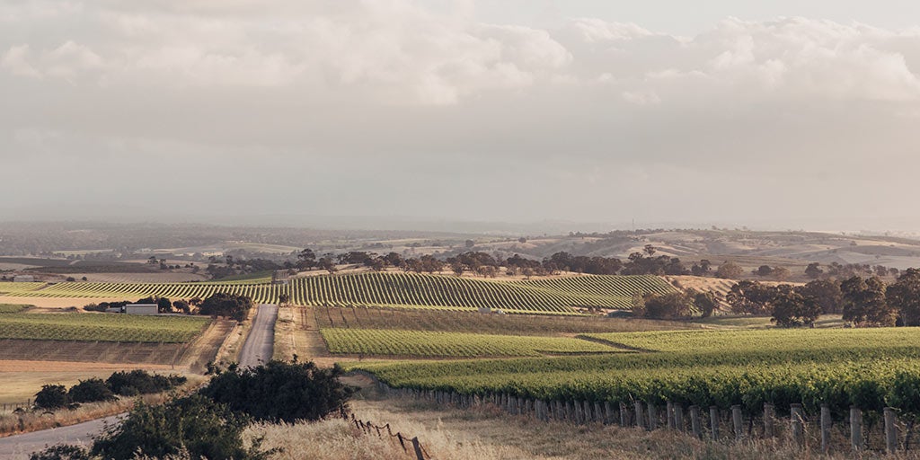Australian Wine | Barossa Valley Wine Region