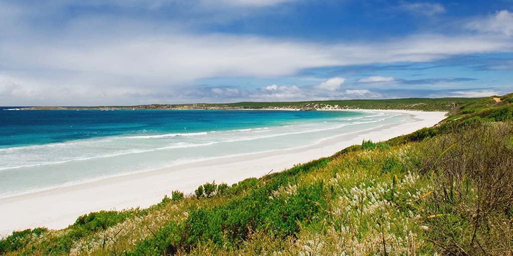 Australian Wine | Mount Benson wine region