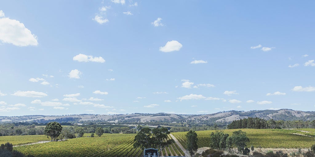 Australian Wine | Coonawarra Wine Region