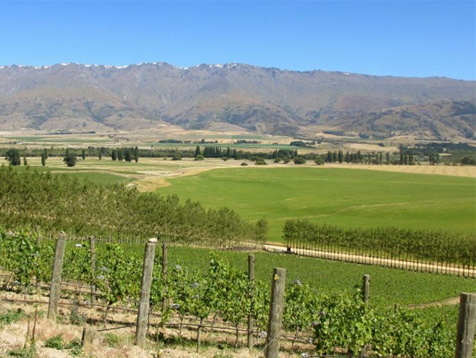 Australian Wine | Bendigo wine region