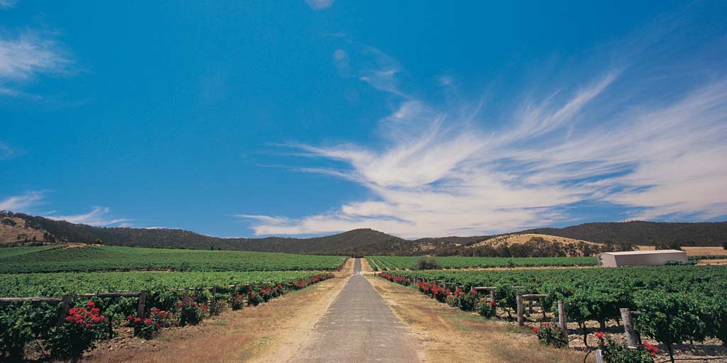 Australian Wine | Pyrenees wine region