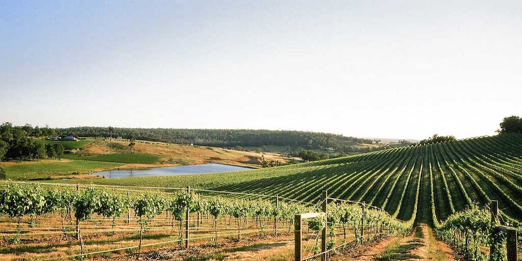 Australian Wine | Australian wine regions