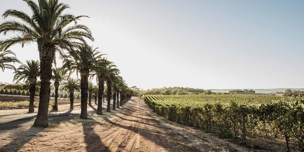 Australian Wine | Barossa Valley Wine Region