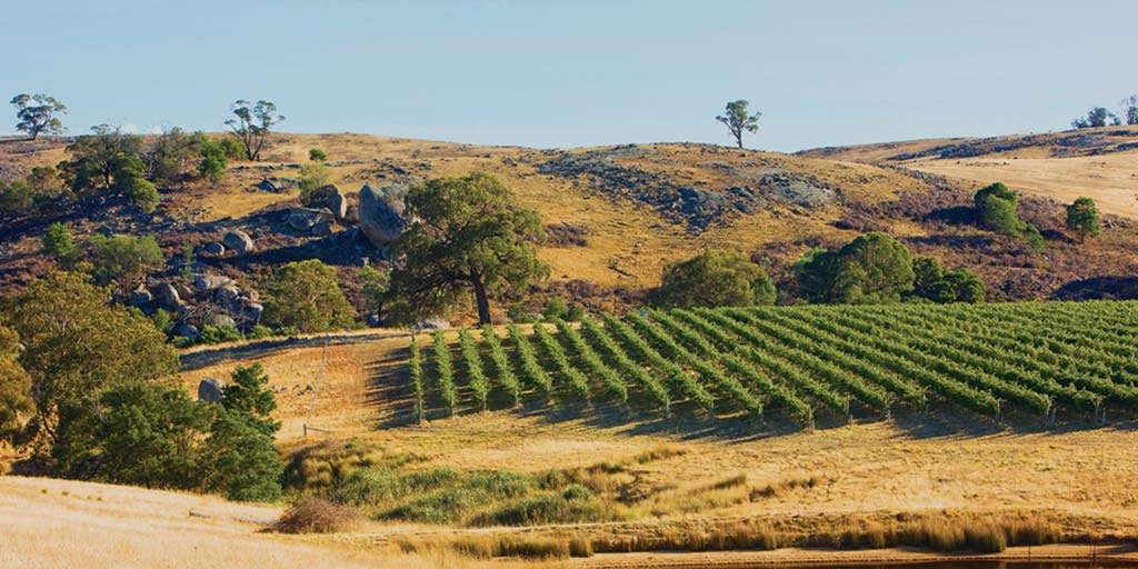 Australian Wine | Strathbogie Ranges wine region