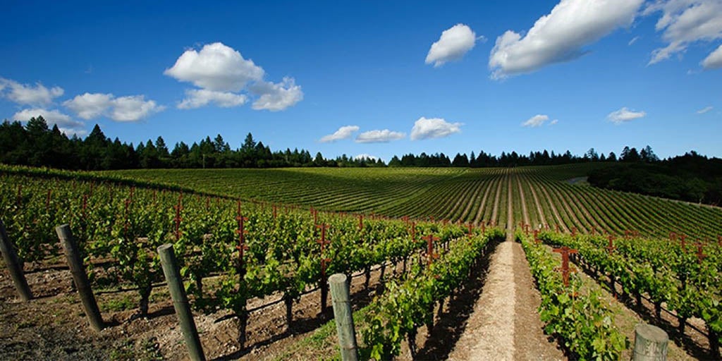 Australian Wine | Currency Creek wine region