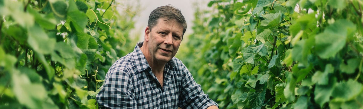 Australian Wine | Mornington Peninsula wine region