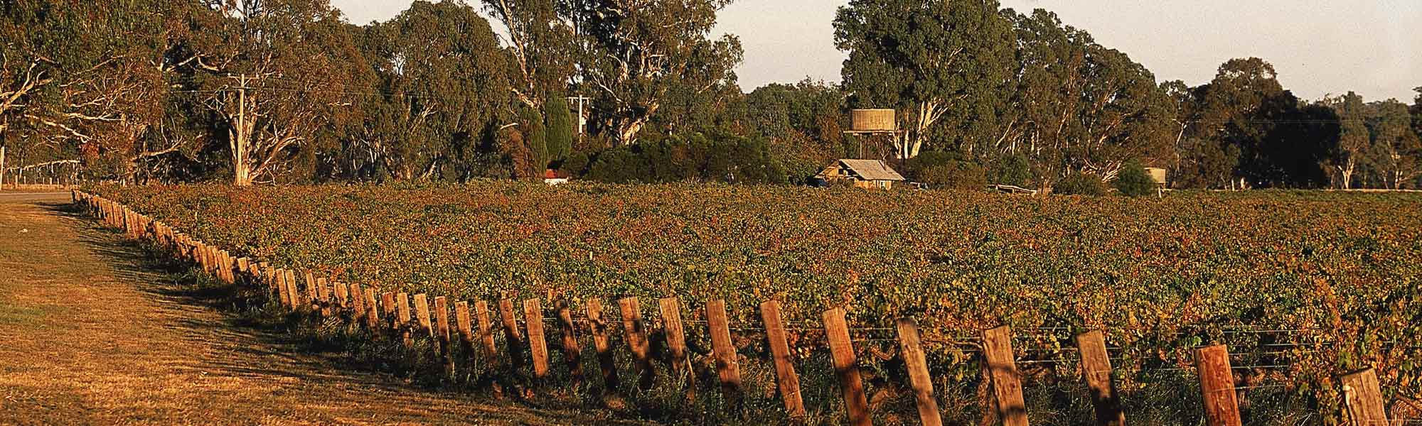 Australian Wine | Goulburn Valley wine region
