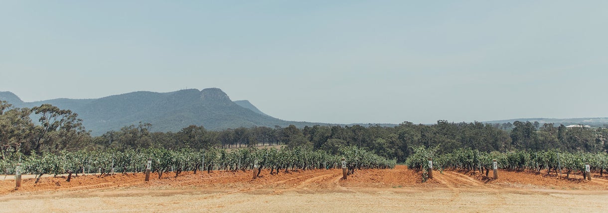 Australian Wine | Hunter Valley Wine Region