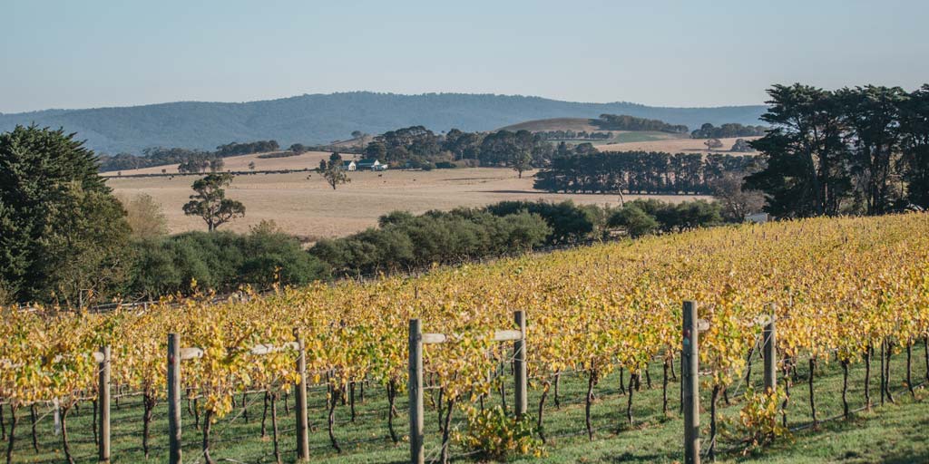 Australian Wine | Macedon Ranges wine region