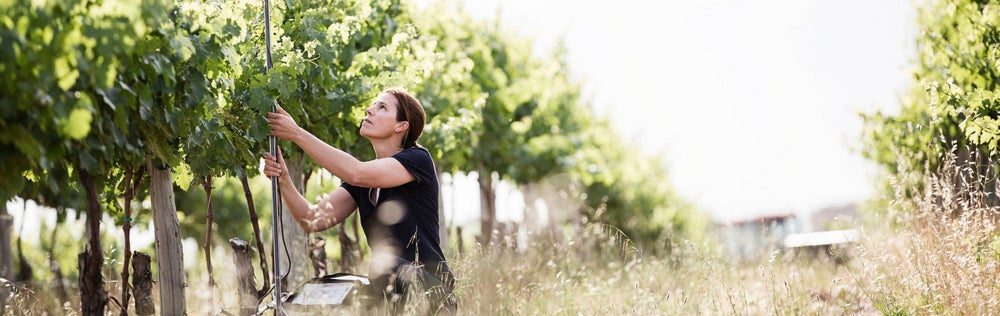 Australian Wine | 首页