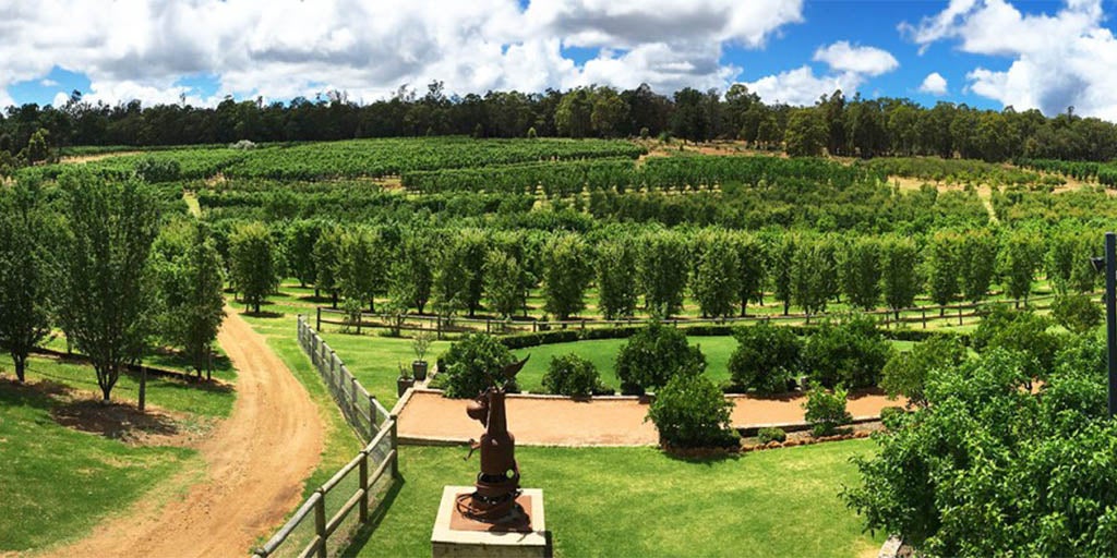 Australian Wine | Perth Hills wine region