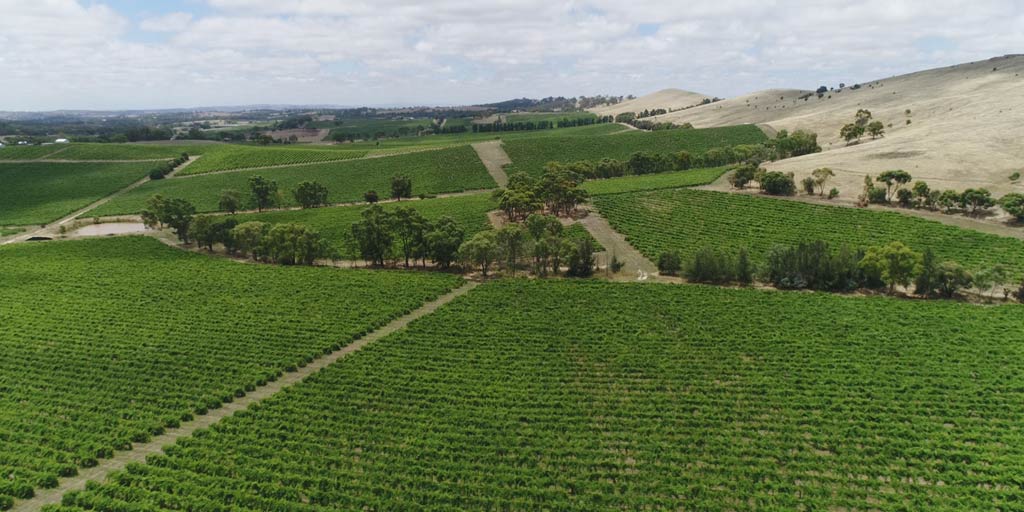 Australian Wine | Clare Valley Wine Region