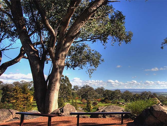 Australian Wine | Cowra Wine Region