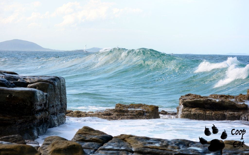 Picture Perfect The Stunning Images That Best Celebrate Our Region | OurSC