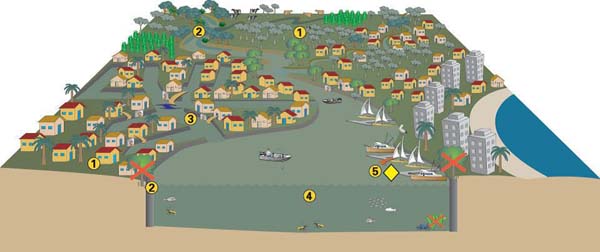 Catchments and water quality
