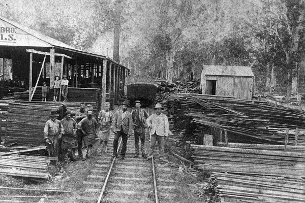 Backward Glance – Timber getters and sawmills