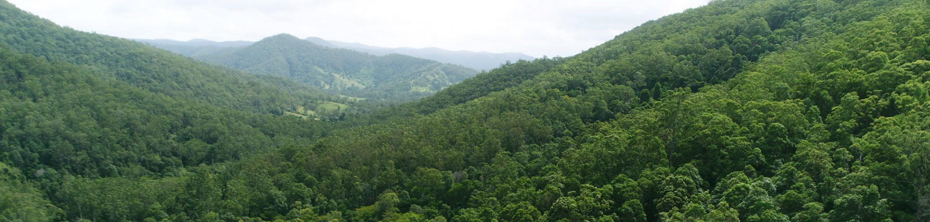 Environment Levy land acquisition program