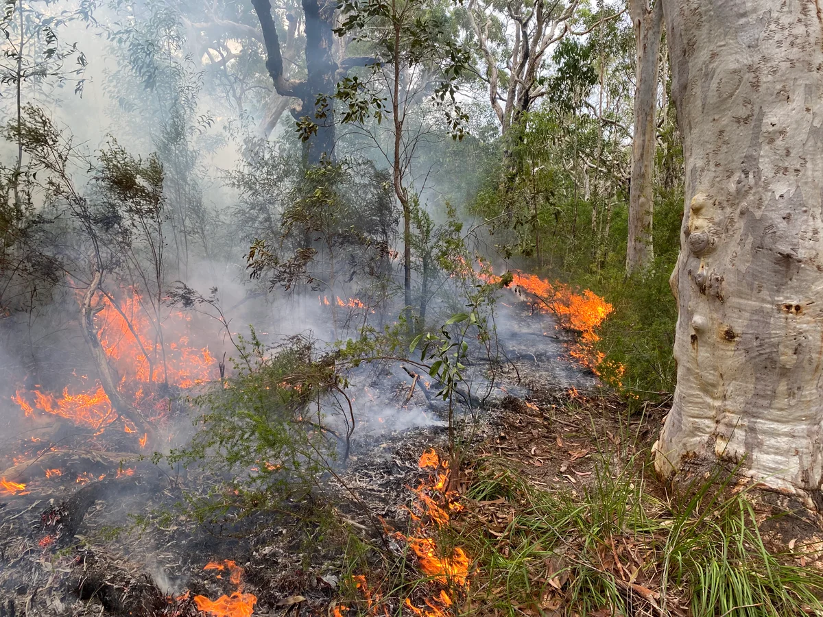 Bushfire management