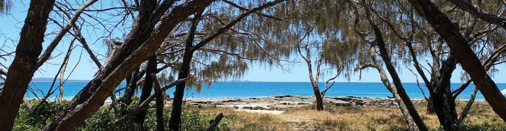 Have Your Say On The Future Of Point Cartwright Reserve And La Balsa ...