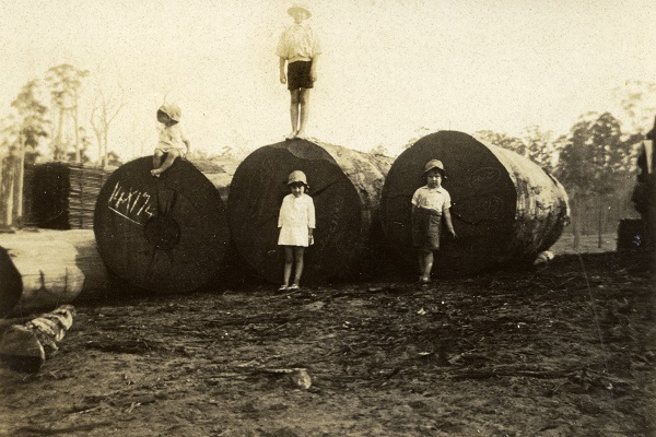 Backward Glance – Timber getters and sawmills