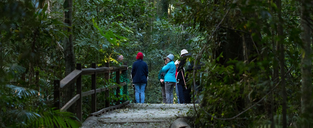 Guided walks