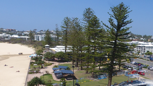 Buhk Family Park