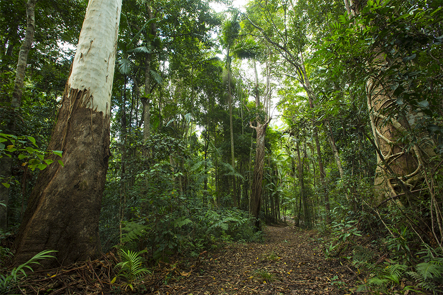 Environment Levy projects and programs