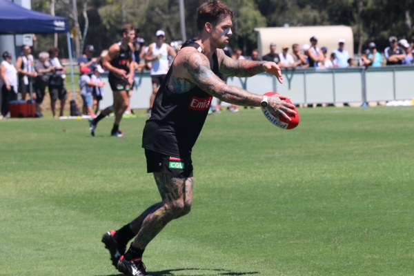 Collingwood open training a big hit