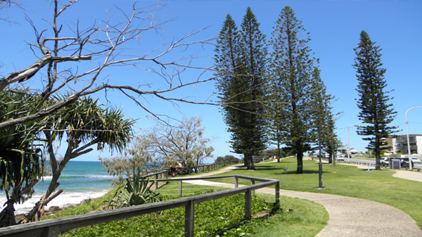 Alex Bluff Foreshore Park